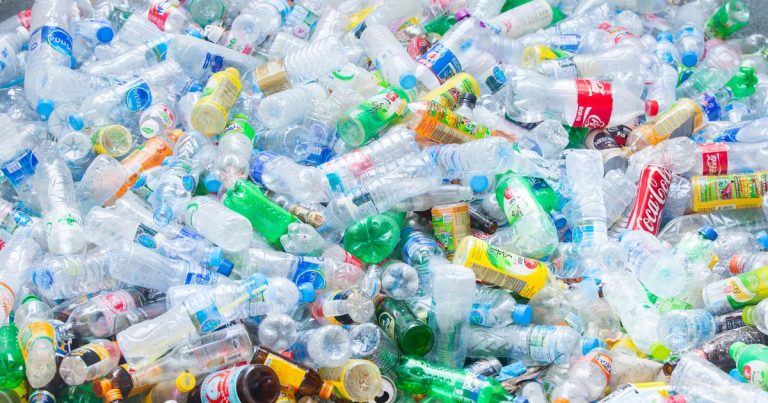 A mund të mendojmë një të ardhme pa plastikë? - Gazeta Online INSAJDERI