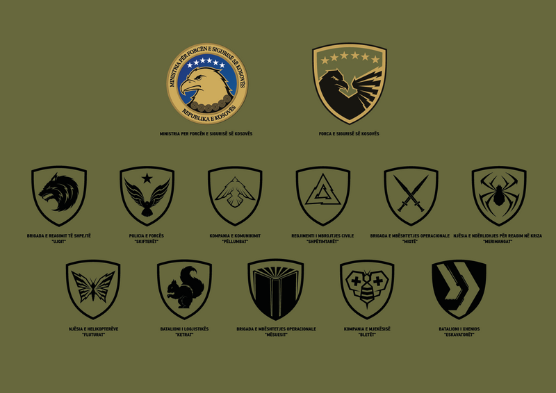 FSK deklarohet pas akuzave për kopjim – tregon sa ka kushtuar llogoja ...