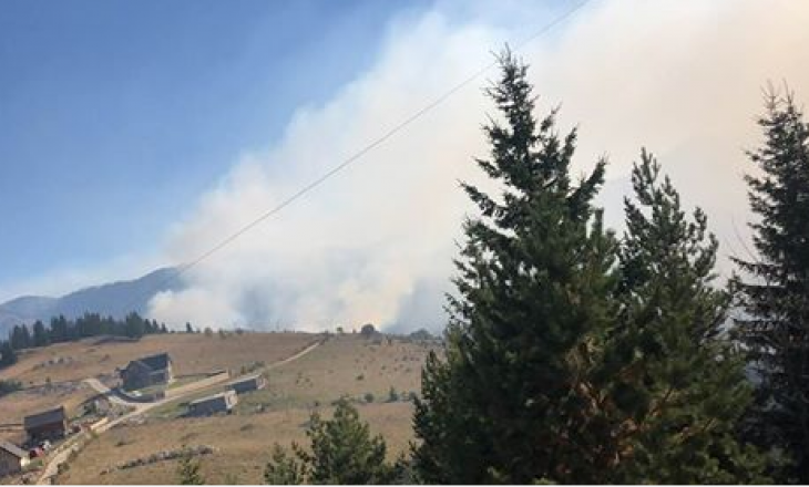 Shuhen gati plotësisht zjarret në malet e Rugovës - Gazeta Online INSAJDERI